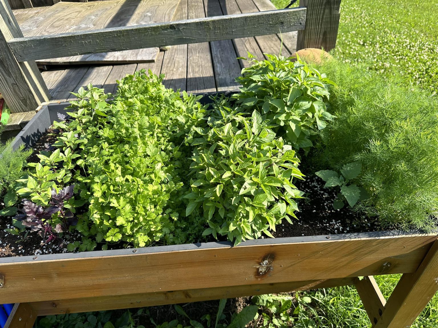 25 Herb Garden Ideas: Transform Your Space with Creative and Functional ...