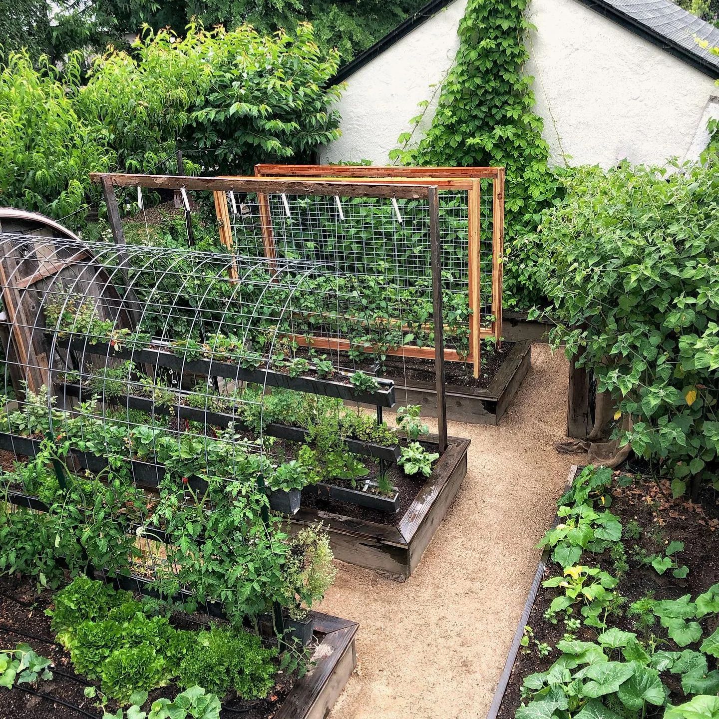 25 Veggie Garden Layout Ideas to Transform Your Backyard: Raised Beds ...