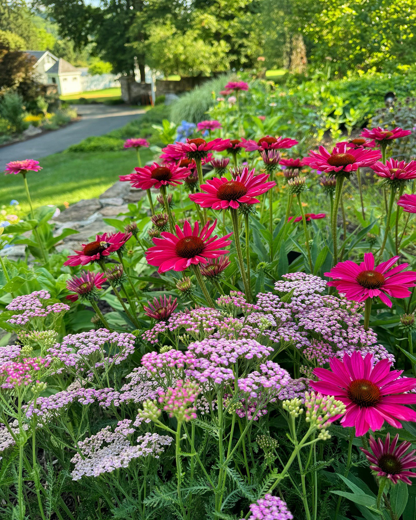 24 Flower Garden Ideas to Transform Your Outdoor Space into a Blooming ...