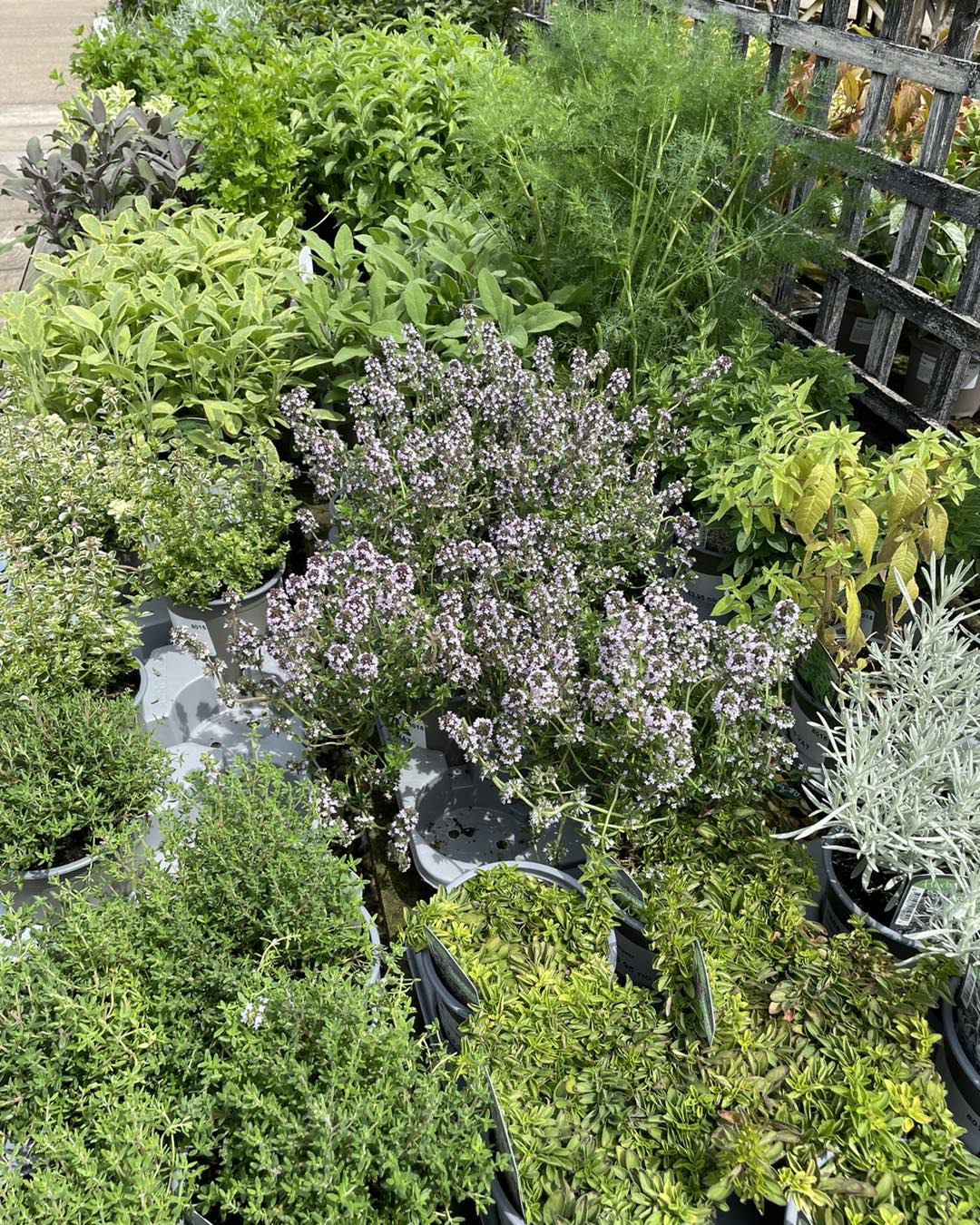 25 Herb Garden Ideas: Transform Your Space with Creative and Functional ...