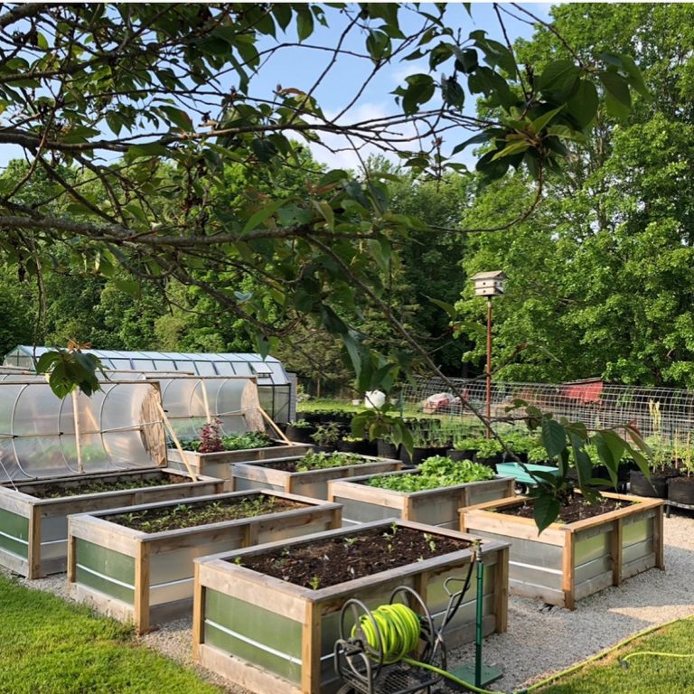 35 Raised Bed Garden Ideas: Transform Your Backyard into a Stunning and ...