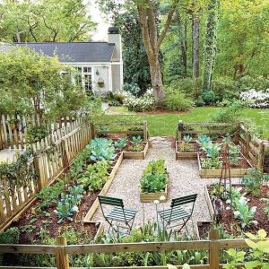 25 Veggie Garden Layout Ideas to Transform Your Backyard: Raised Beds ...