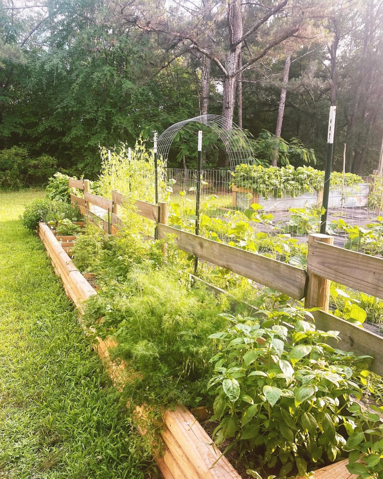 25 Herb Garden Ideas: Transform Your Space with Creative and Functional ...