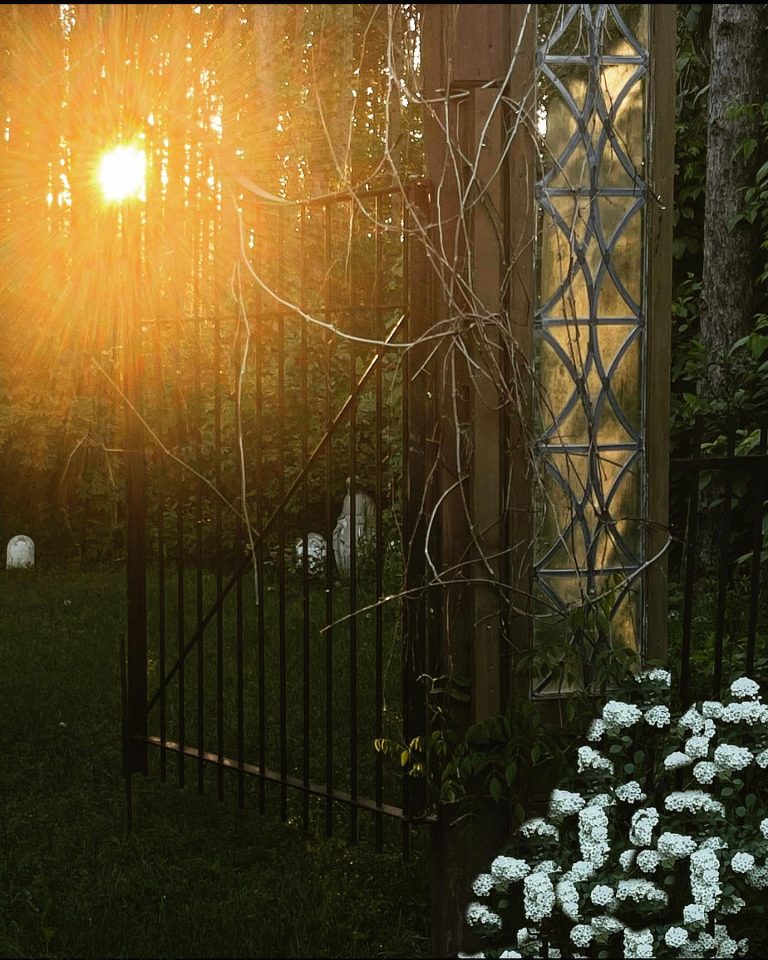 25 Gothic Garden Ideas: Enchanting Designs and Dark Aesthetics for Your ...
