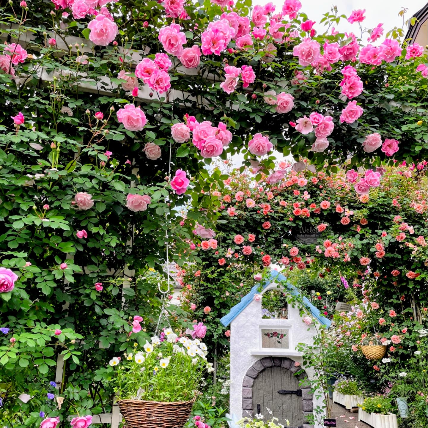 24 Flower Garden Ideas to Transform Your Outdoor Space into a Blooming ...