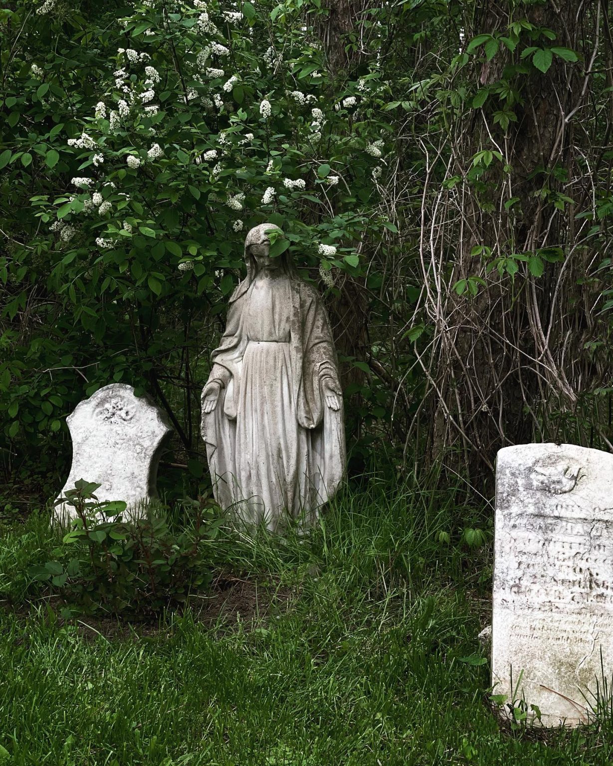 25 Gothic Garden Ideas: Enchanting Designs and Dark Aesthetics for Your ...