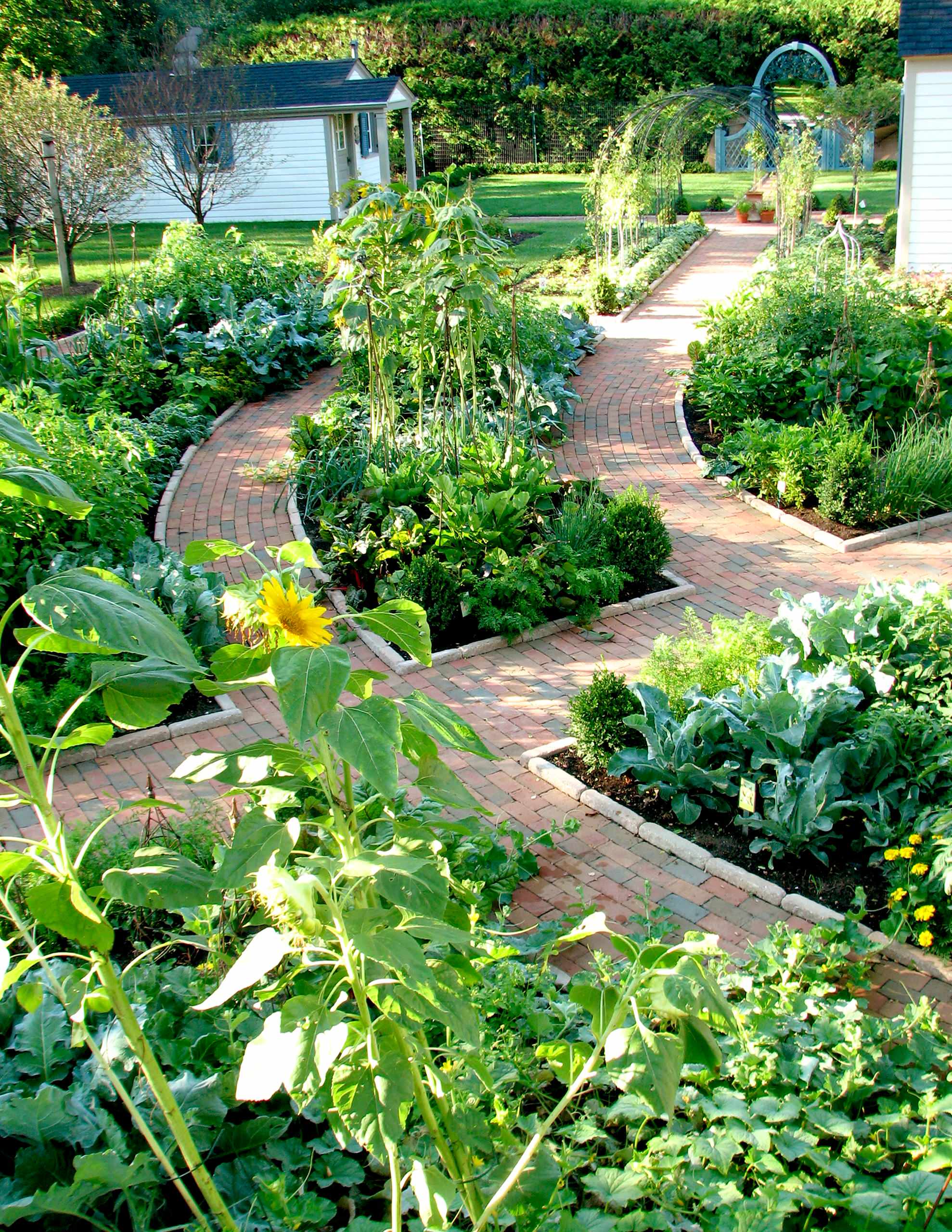 25 Veggie Garden Layout Ideas to Transform Your Backyard: Raised Beds ...