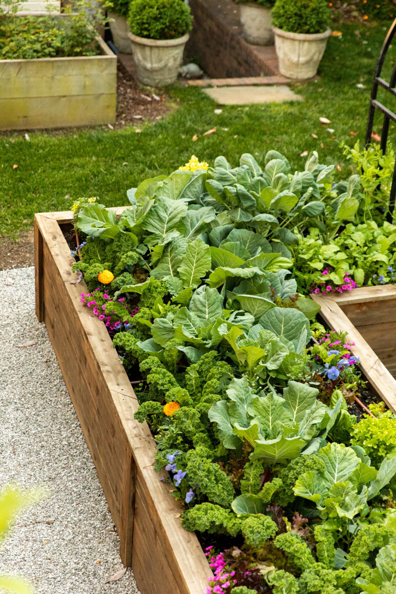 25 Veggie Garden Layout Ideas to Transform Your Backyard: Raised Beds ...