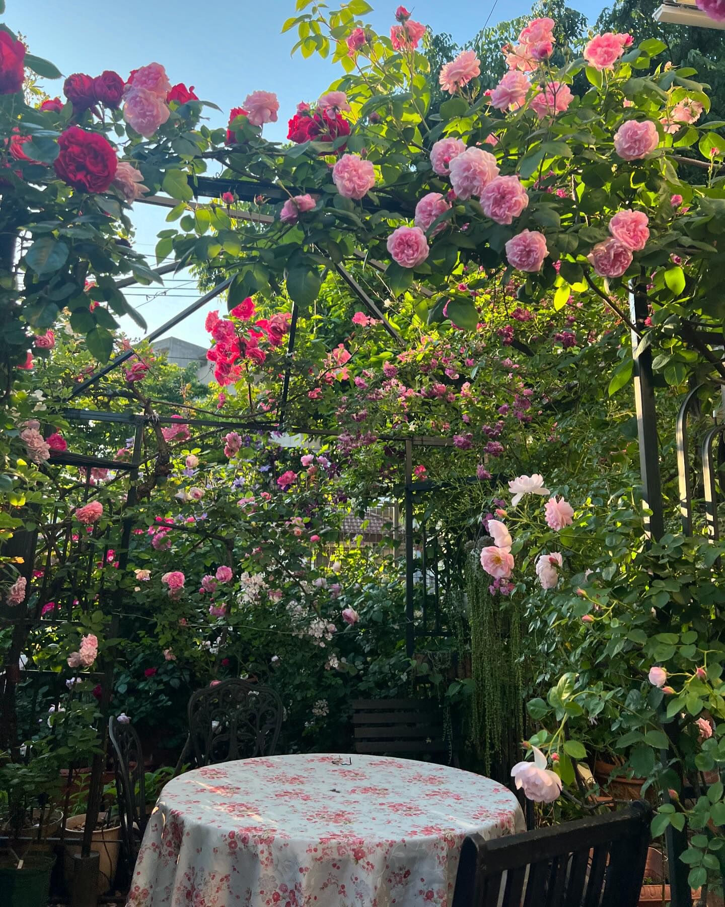 24 Flower Garden Ideas to Transform Your Outdoor Space into a Blooming ...
