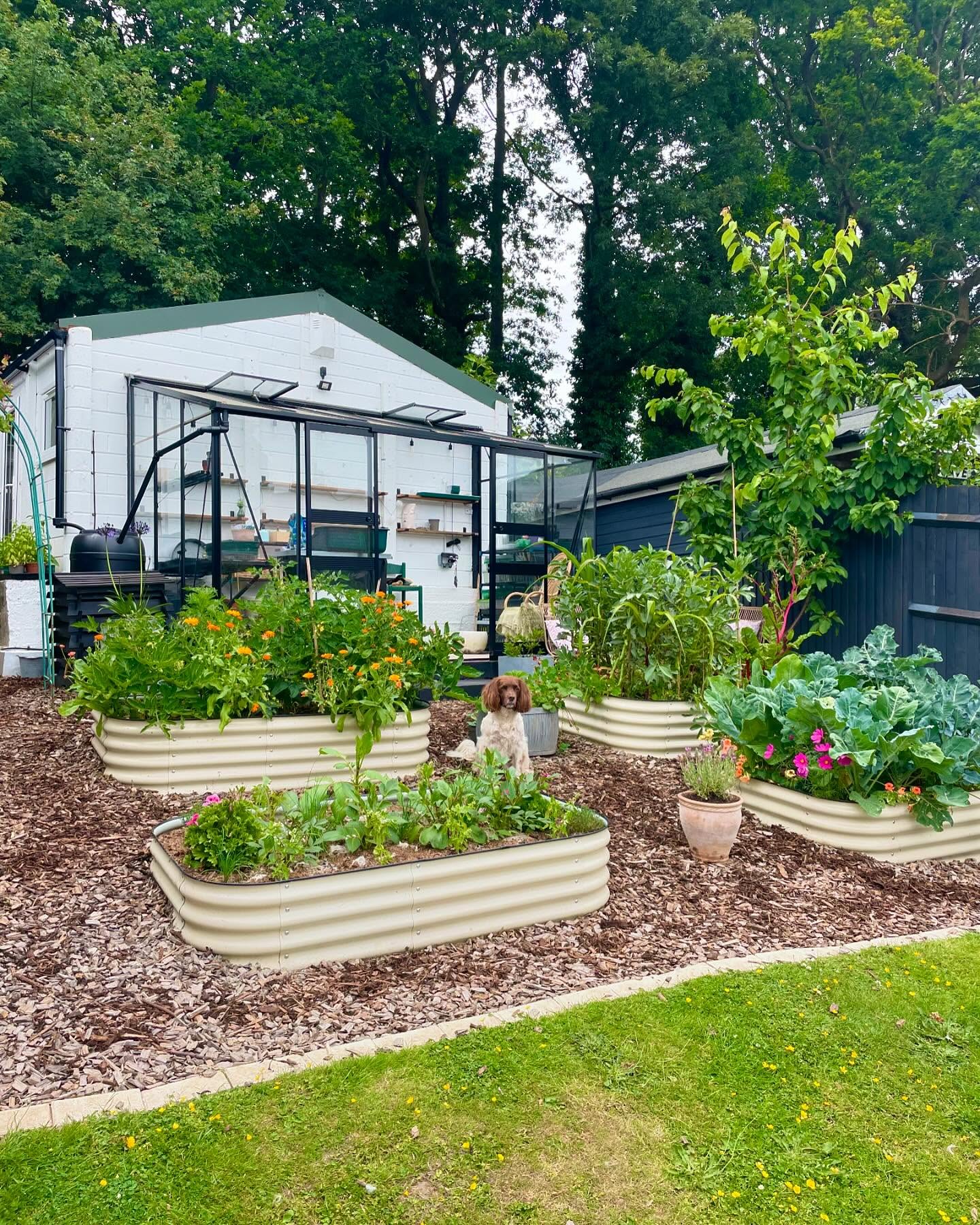 29 Vegetable Garden Design Ideas: Create a Stunning and Productive ...