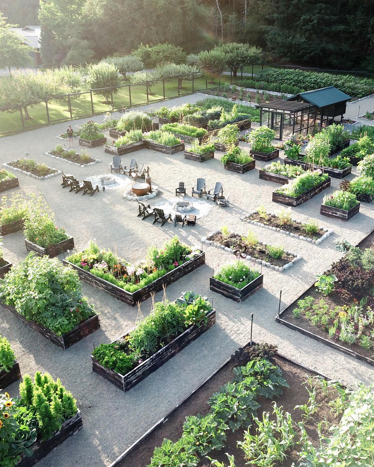 25 Veggie Garden Layout Ideas to Transform Your Backyard: Raised Beds ...