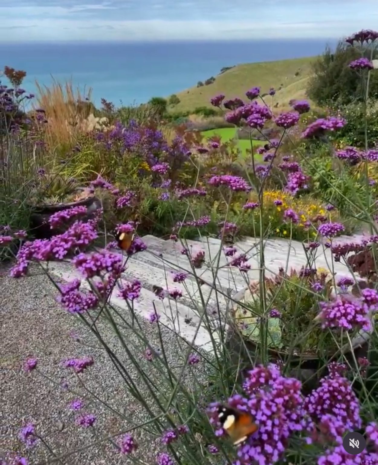 20 Butterfly Garden Ideas to Transform Your Yard into a Pollinator’s ...