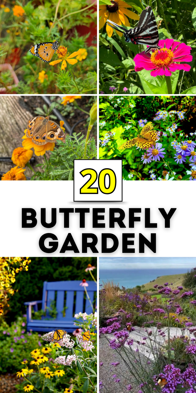 20 Butterfly Garden Ideas to Transform Your Yard into a Pollinator’s ...