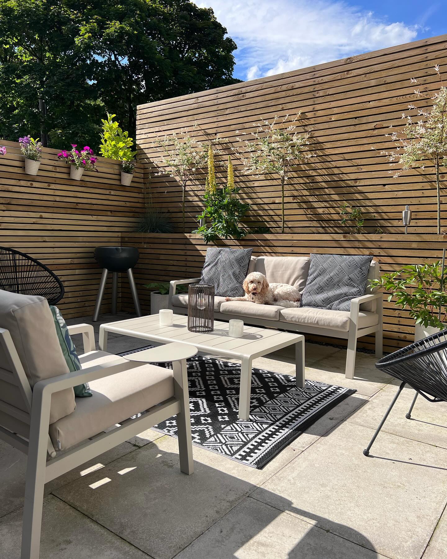 25 Small Garden Ideas: Stylish and Budget-Friendly Ways to Transform ...