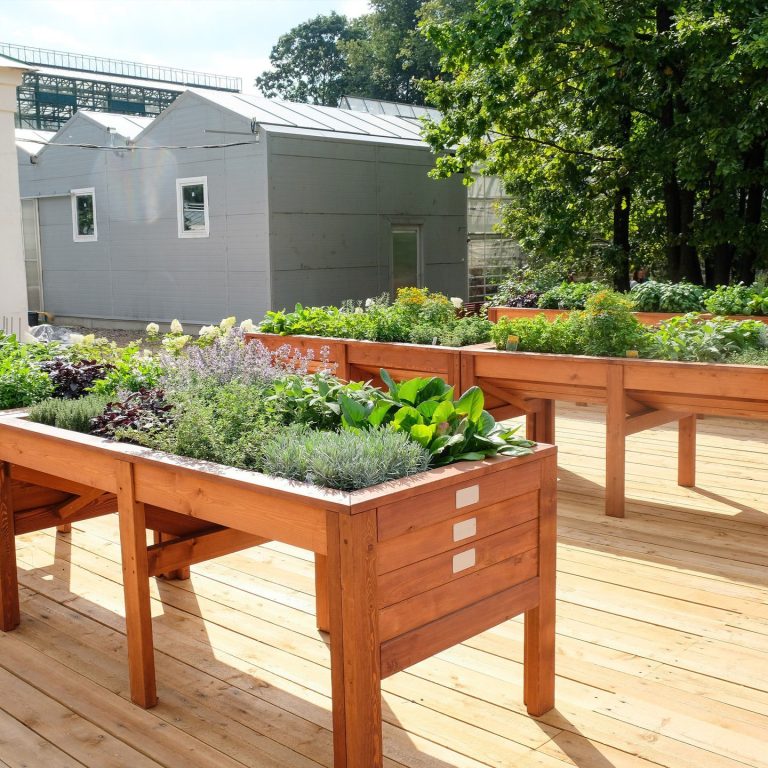 35 Raised Bed Garden Ideas: Transform Your Backyard into a Stunning and ...