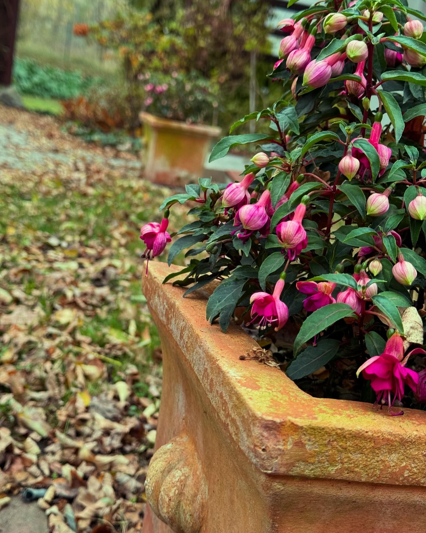 24 Flower Garden Ideas to Transform Your Outdoor Space into a Blooming ...