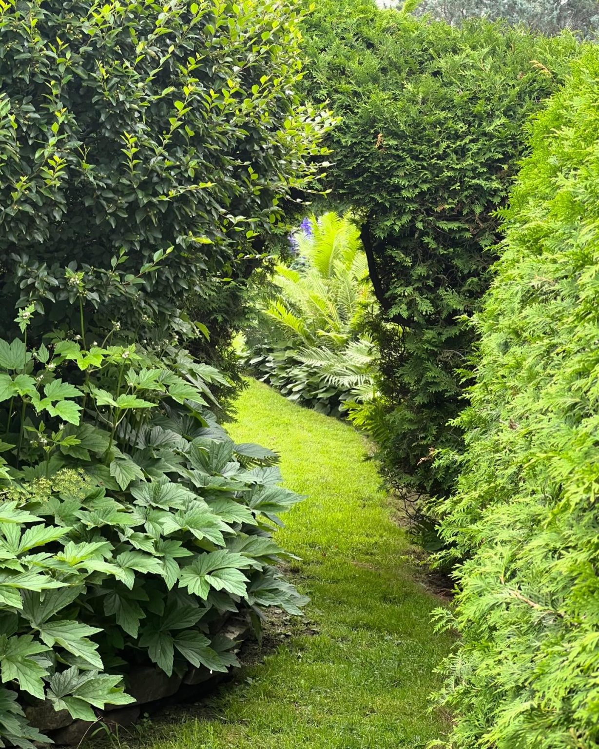 25 Secret Garden Ideas to Transform Your Backyard into a Magical ...