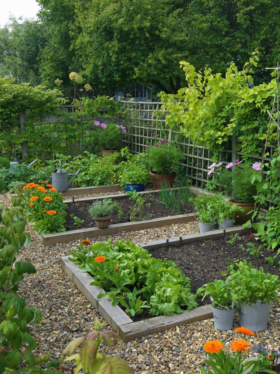 25 Veggie Garden Layout Ideas to Transform Your Backyard: Raised Beds ...