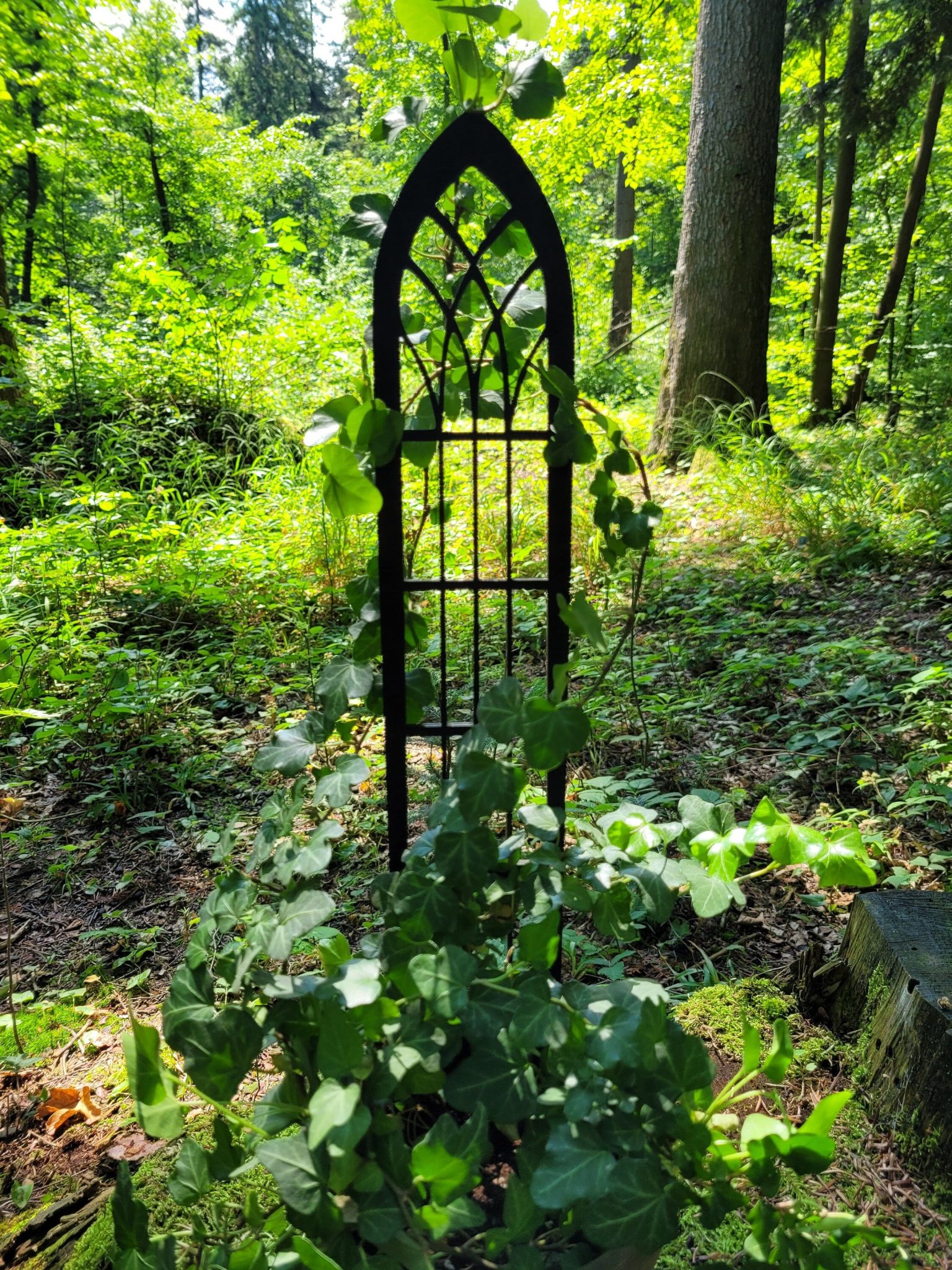 25 Gothic Garden Ideas: Enchanting Designs and Dark Aesthetics for Your ...