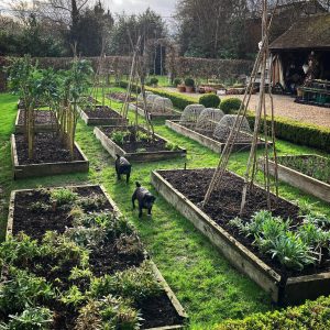 35 Raised Bed Garden Ideas: Transform Your Backyard into a Stunning and ...