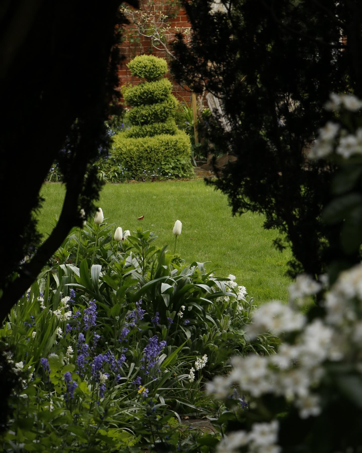 25 Secret Garden Ideas to Transform Your Backyard into a Magical ...