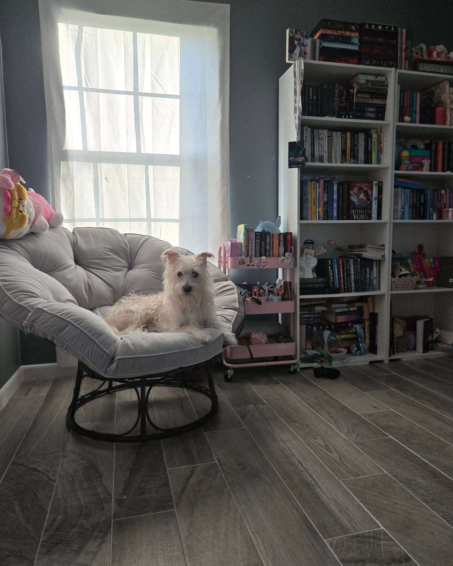 34 Reading Corner Ideas to Transform Your Space into a Cozy and Stylish ...