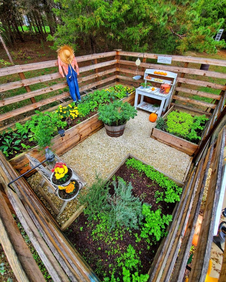35 Raised Bed Garden Ideas: Transform Your Backyard into a Stunning and ...