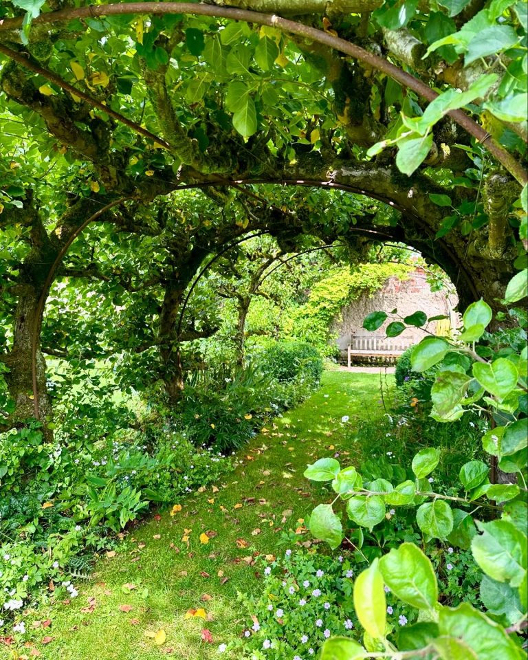 25 Secret Garden Ideas to Transform Your Backyard into a Magical ...