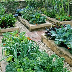 35 Raised Bed Garden Ideas: Transform Your Backyard into a Stunning and ...