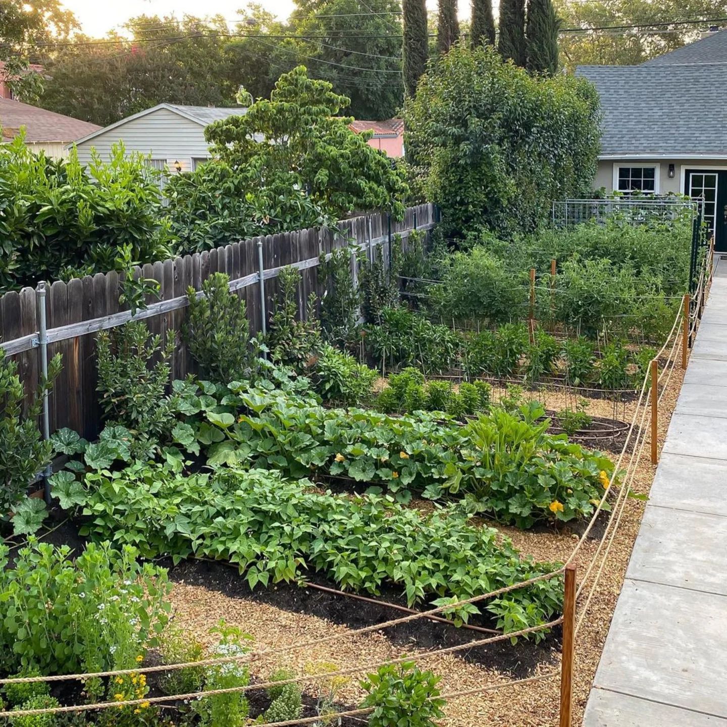 25 Veggie Garden Layout Ideas to Transform Your Backyard: Raised Beds ...