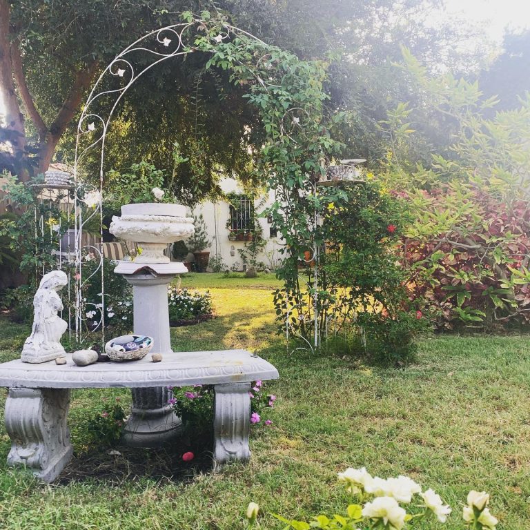 25 Gothic Garden Ideas: Enchanting Designs and Dark Aesthetics for Your ...