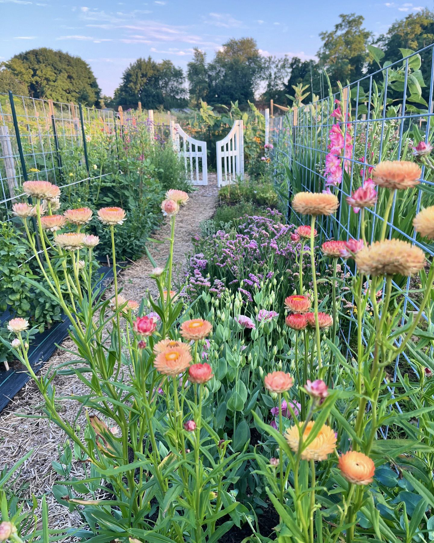 24 Flower Garden Ideas to Transform Your Outdoor Space into a Blooming ...