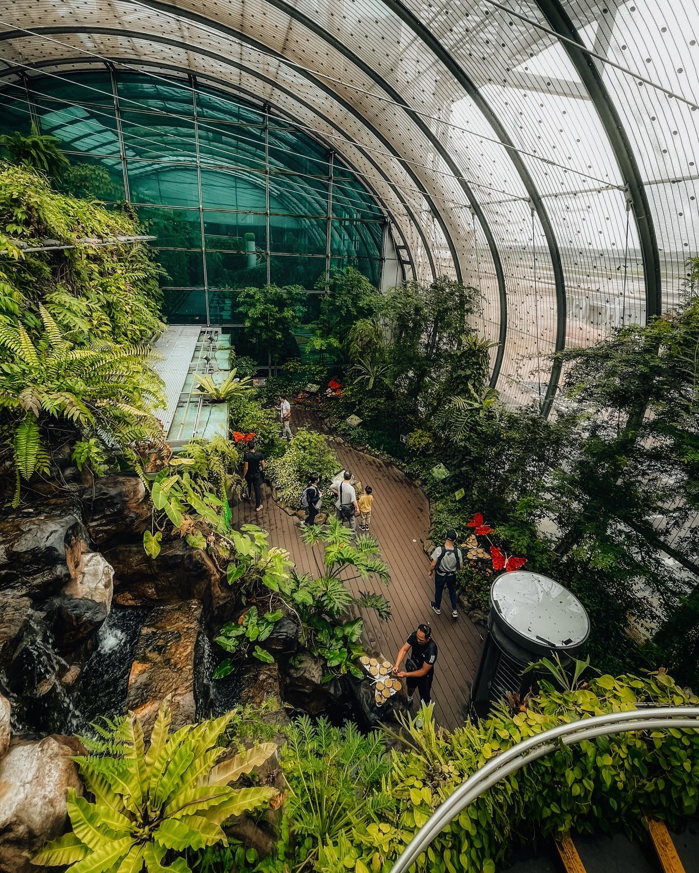 20 Butterfly Garden Ideas to Transform Your Yard into a Pollinator’s ...