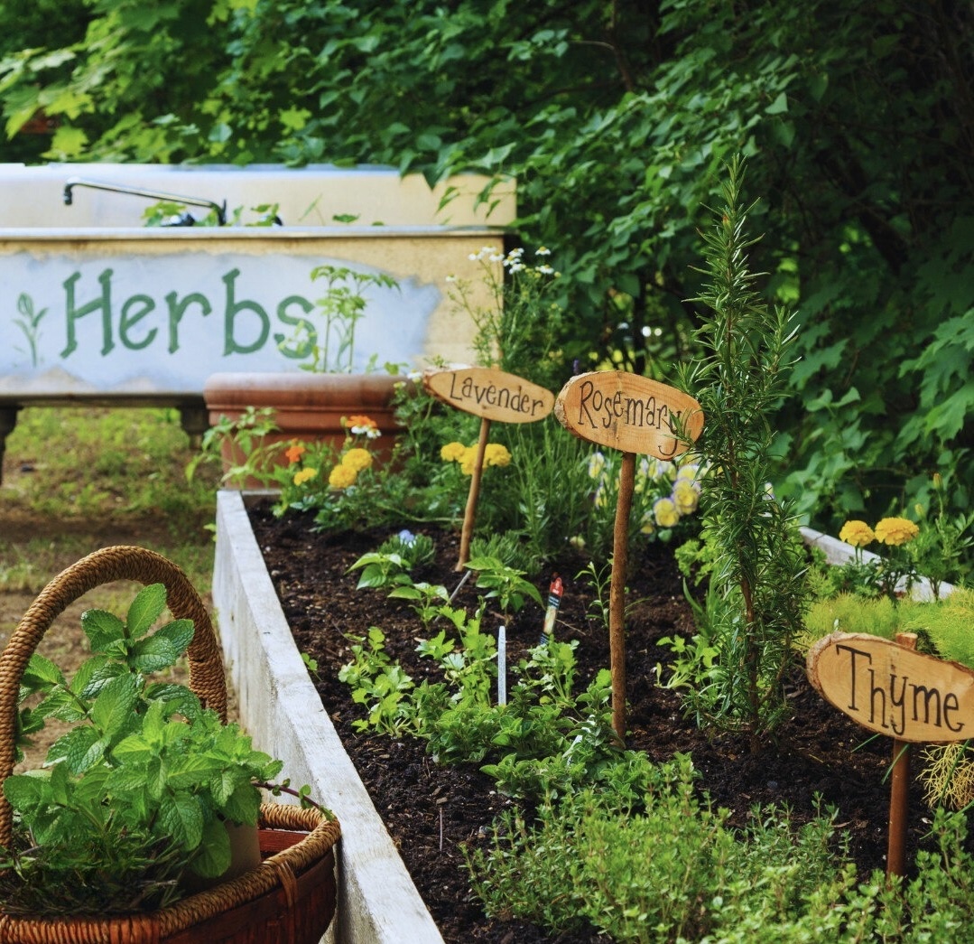25 Herb Garden Ideas: Transform Your Space with Creative and Functional ...