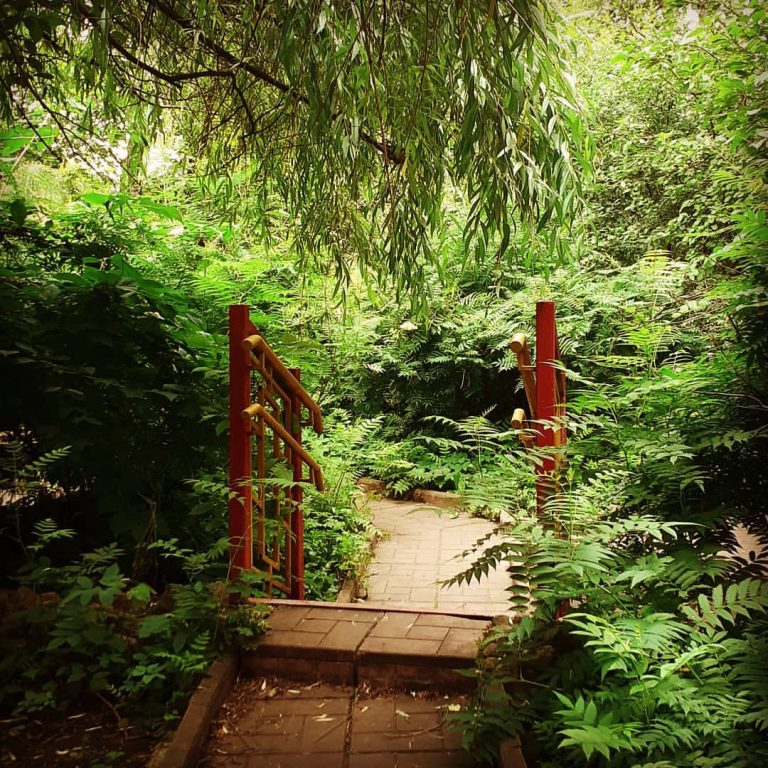 25 Secret Garden Ideas to Transform Your Backyard into a Magical ...