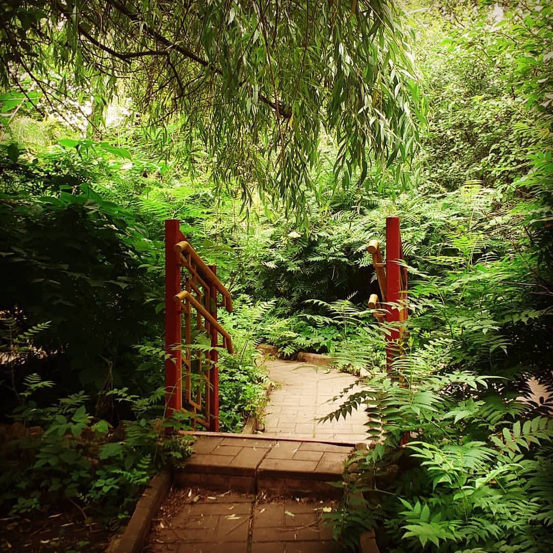 25 Secret Garden Ideas to Transform Your Backyard into a Magical ...