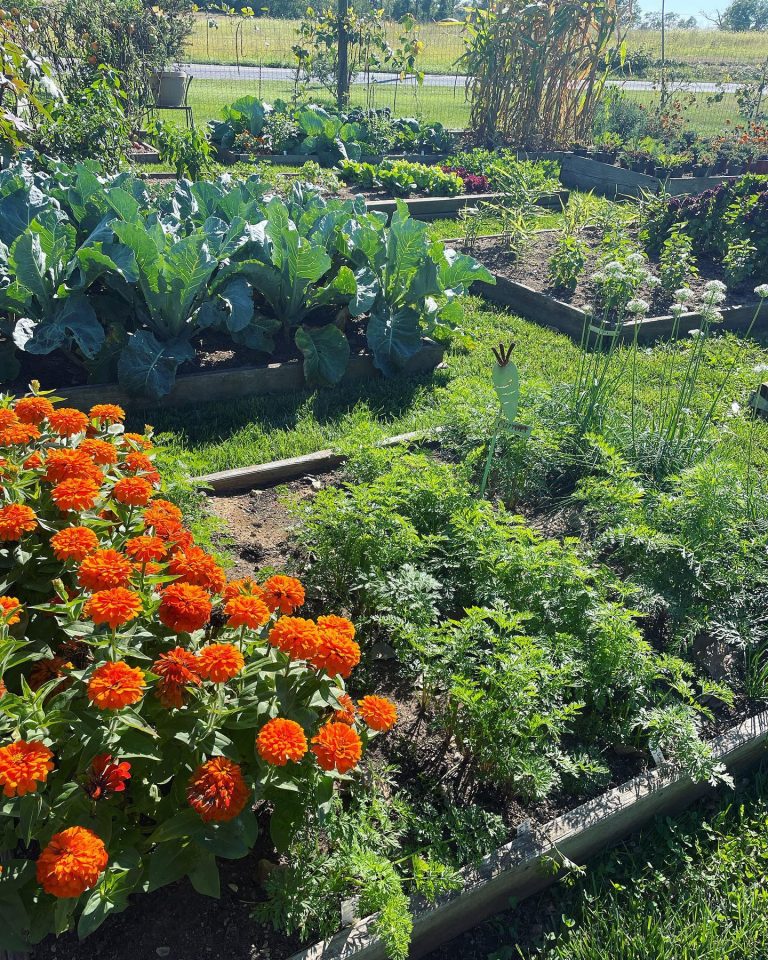 29 Vegetable Garden Design Ideas: Create a Stunning and Productive ...