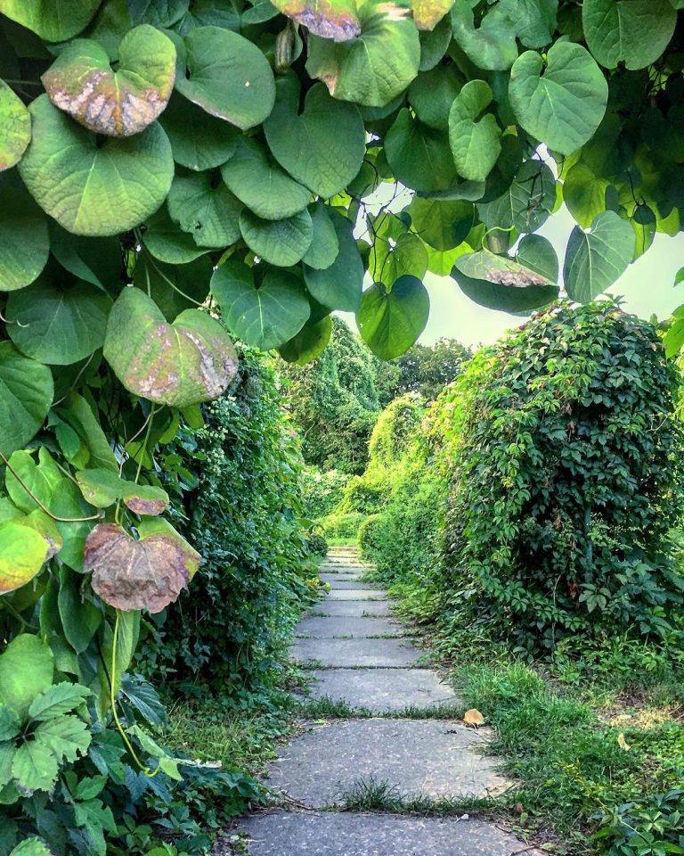 25 Secret Garden Ideas to Transform Your Backyard into a Magical ...