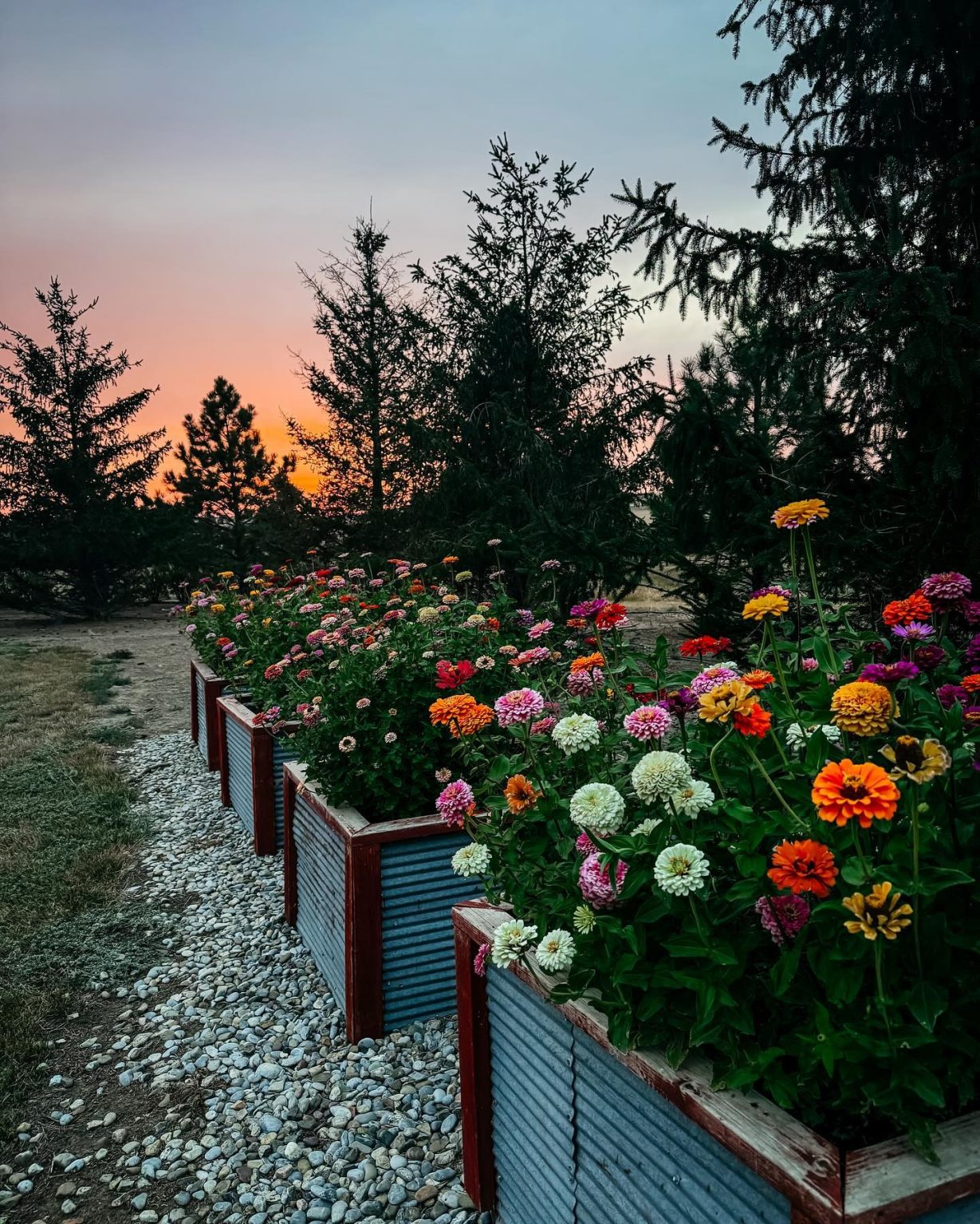 24 Flower Garden Ideas to Transform Your Outdoor Space into a Blooming ...