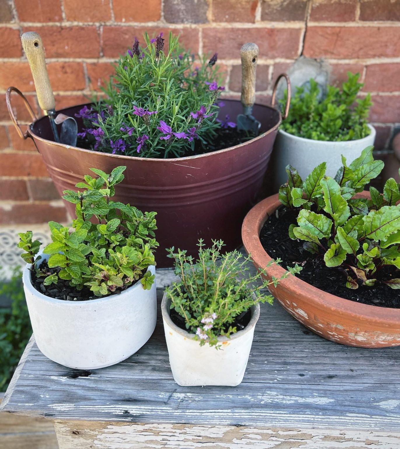 25 Herb Garden Ideas: Transform Your Space with Creative and Functional ...