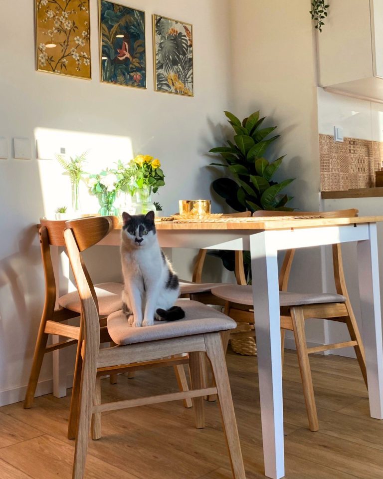 30 Dining Room Chairs Ideas 2025: Stylish Trends for a Modern, Cozy ...