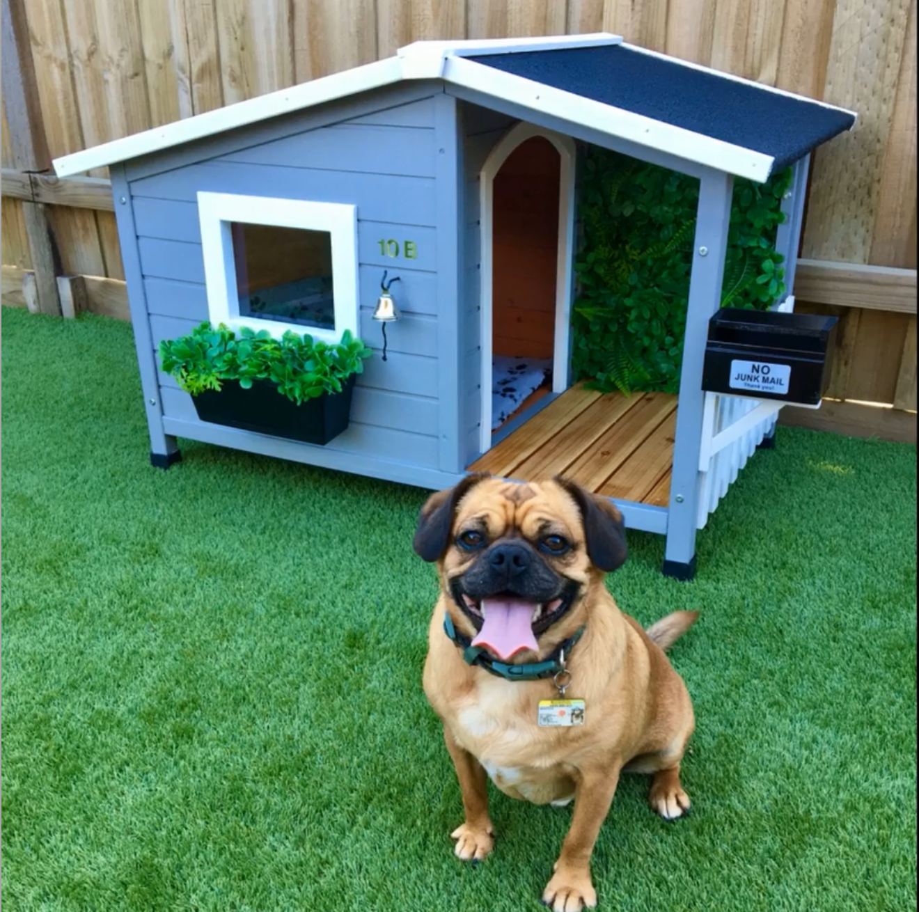 30 Dog Kennel Ideas Outdoor 2025: Best Cheap, Fancy and DIY Designs for ...