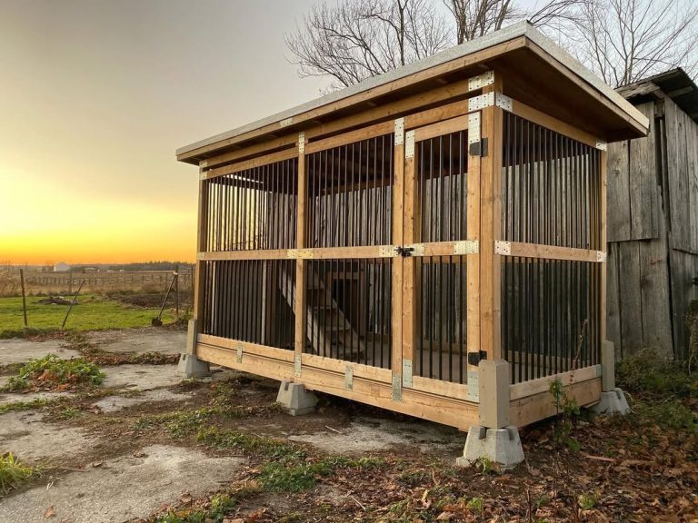 30 Dog Kennel Ideas Outdoor 2025: Best Cheap, Fancy and DIY Designs for ...