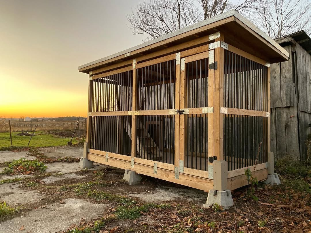 30 Dog Kennel Ideas Outdoor 2025: Best Cheap, Fancy and DIY Designs for ...