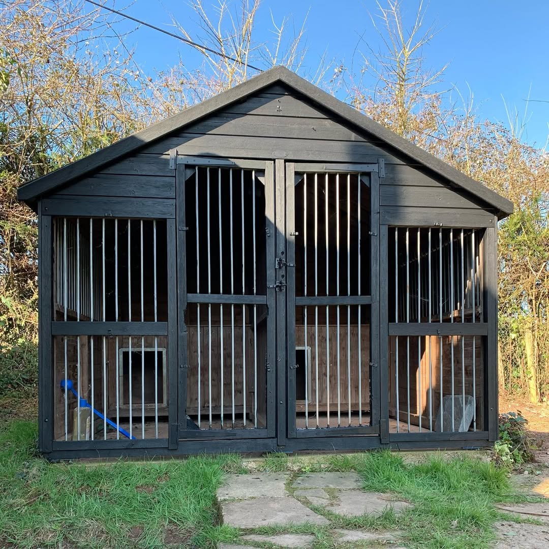 30 Dog Kennel Ideas Outdoor 2025: Best Cheap, Fancy and DIY Designs for ...