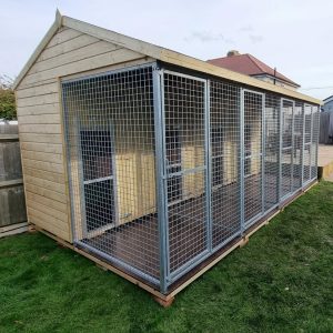 30 Dog Kennel Ideas Outdoor 2025: Best Cheap, Fancy and DIY Designs for ...