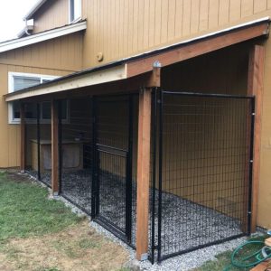 30 Dog Kennel Ideas Outdoor 2025: Best Cheap, Fancy and DIY Designs for ...