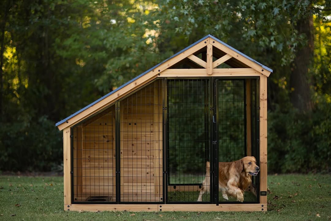 30 Dog Kennel Ideas Outdoor 2025: Best Cheap, Fancy and DIY Designs for ...