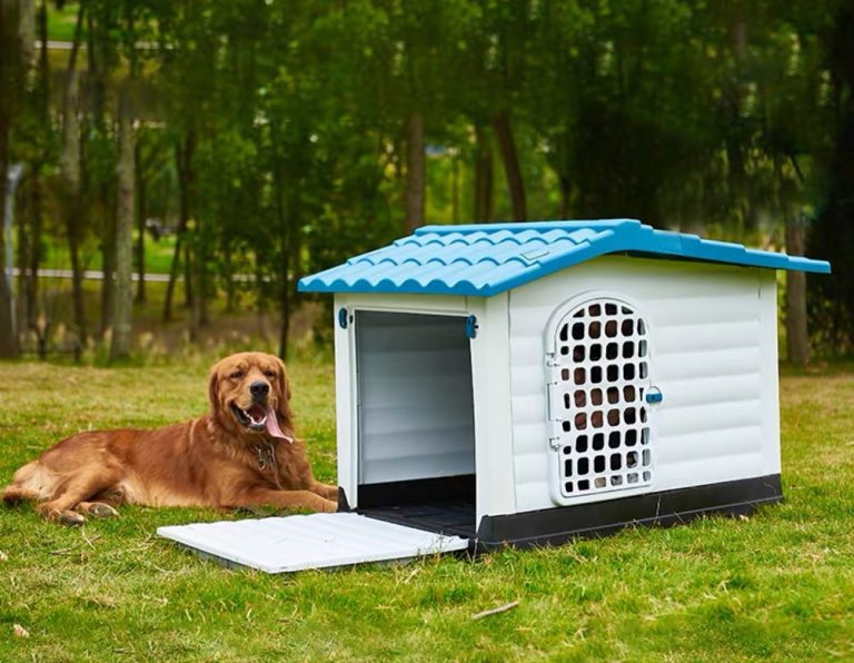 30 Dog Kennel Ideas Outdoor 2025: Best Cheap, Fancy and DIY Designs for ...
