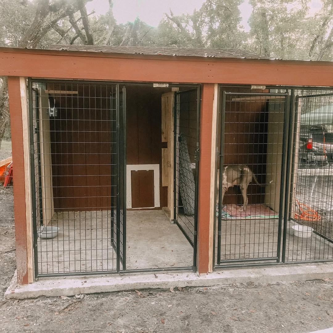 30 Dog Kennel Ideas Outdoor 2025: Best Cheap, Fancy and DIY Designs for ...